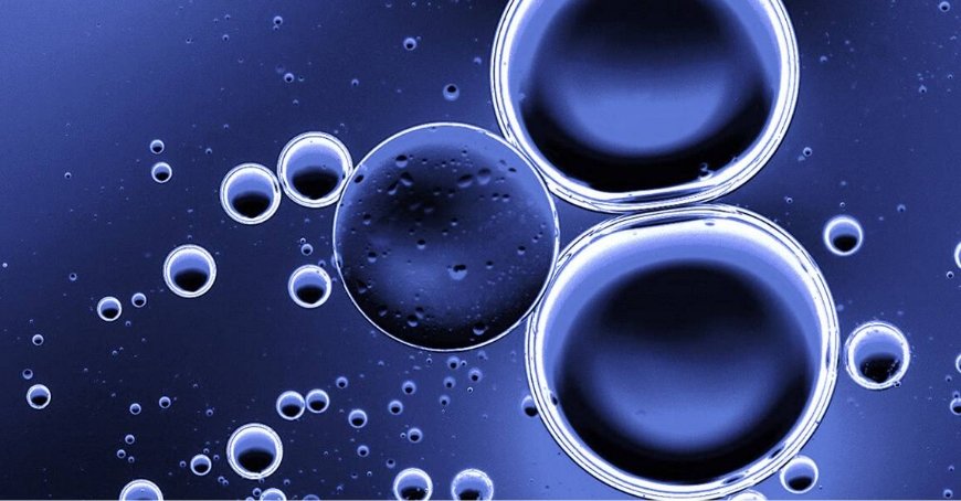 Effective Ways to Reduce and Prevent Dark Spots | Skincare Tips